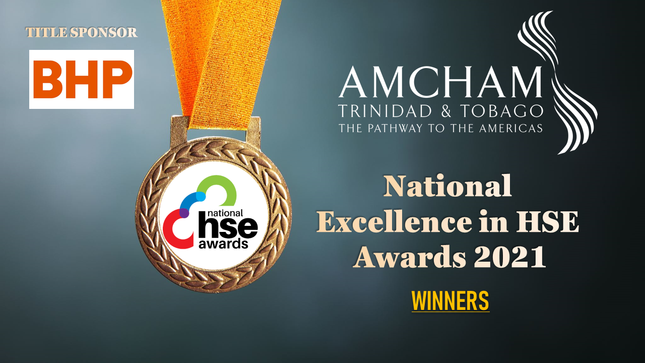 National Excellence in HSE Award 2021 Awarded To Nestlé - TTT News