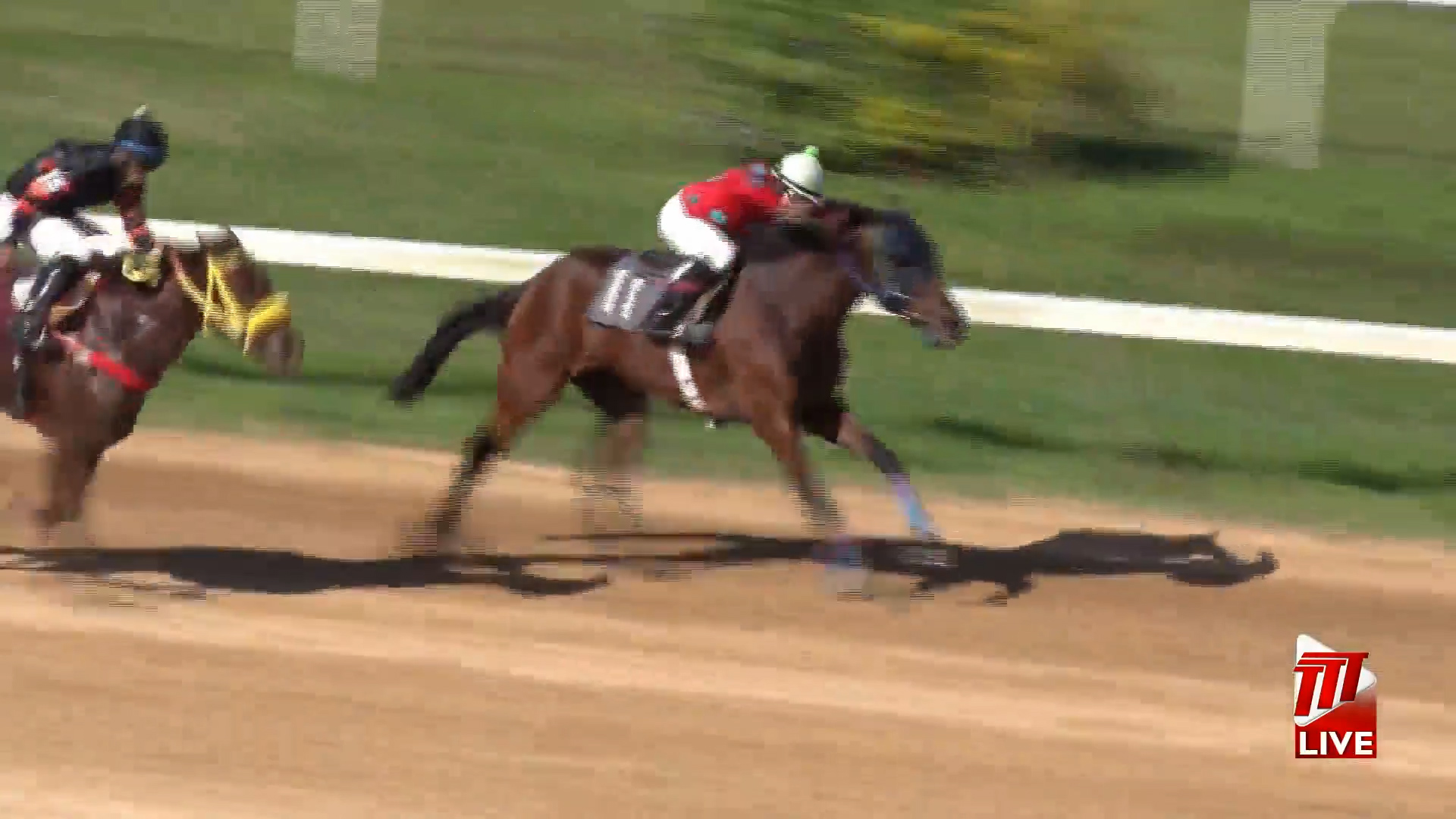 Boxing Day Races At Santa Rosa - TTT News