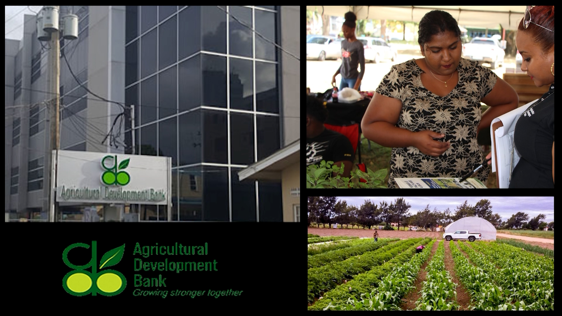 Business Insight – ADB Loan Facility - TTT News