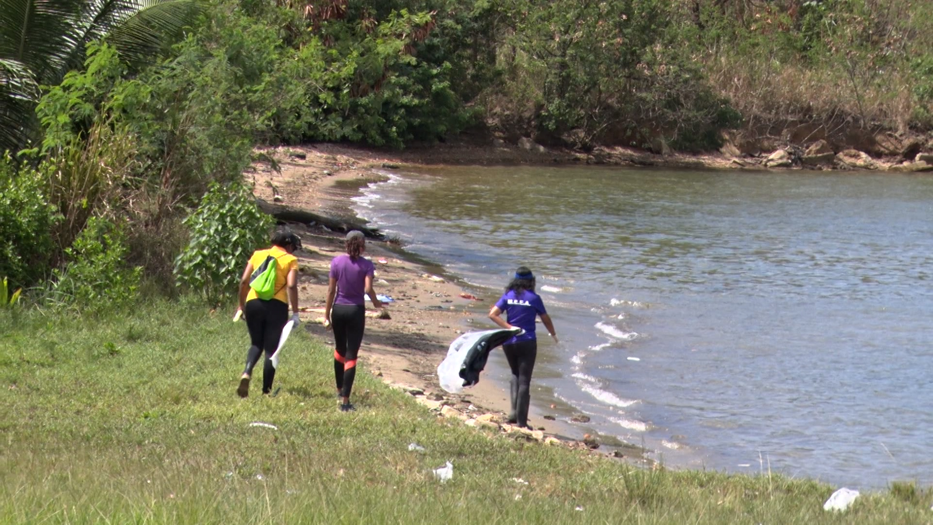 Litter Wardens Coming - TTT News