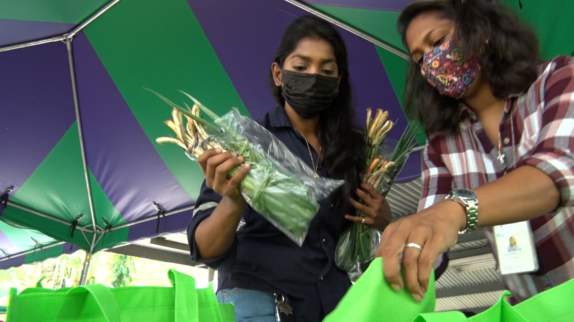 NAMDEVCO Celebrates Mothers - TTT News