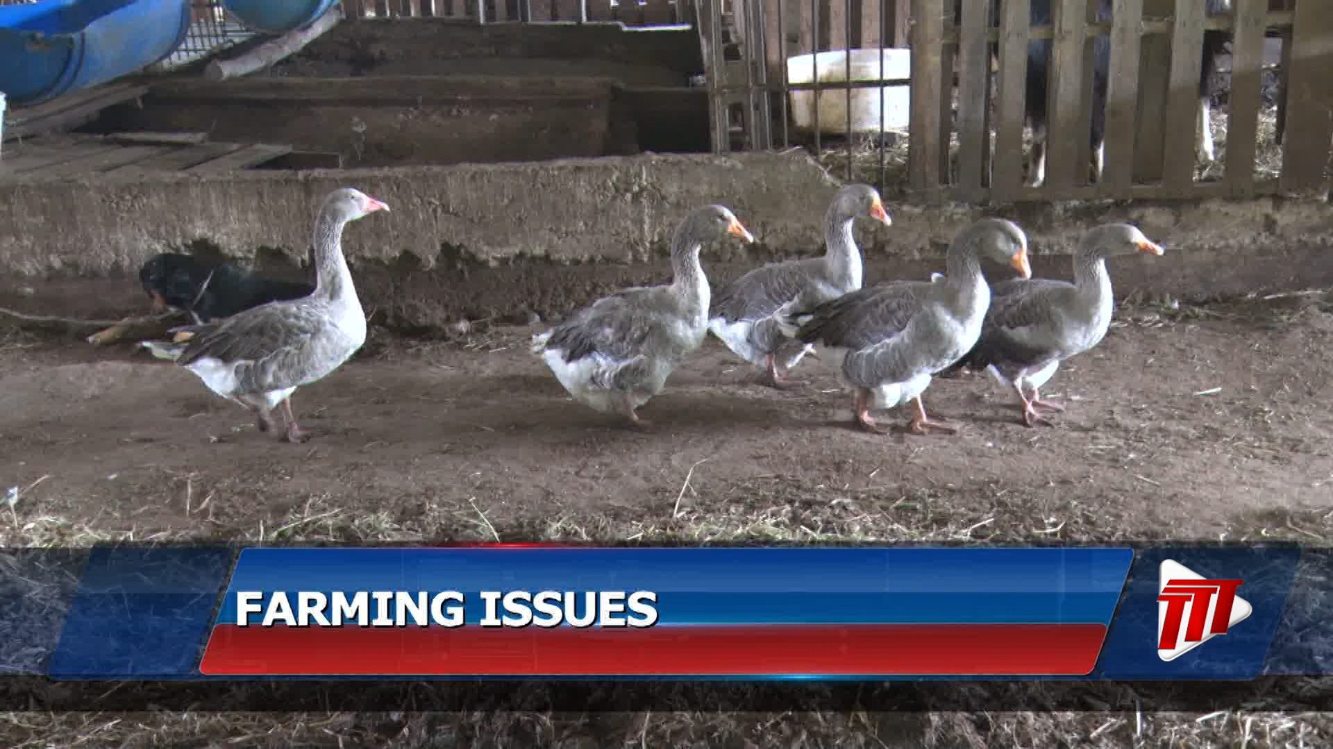 Farming Issues - TTT News