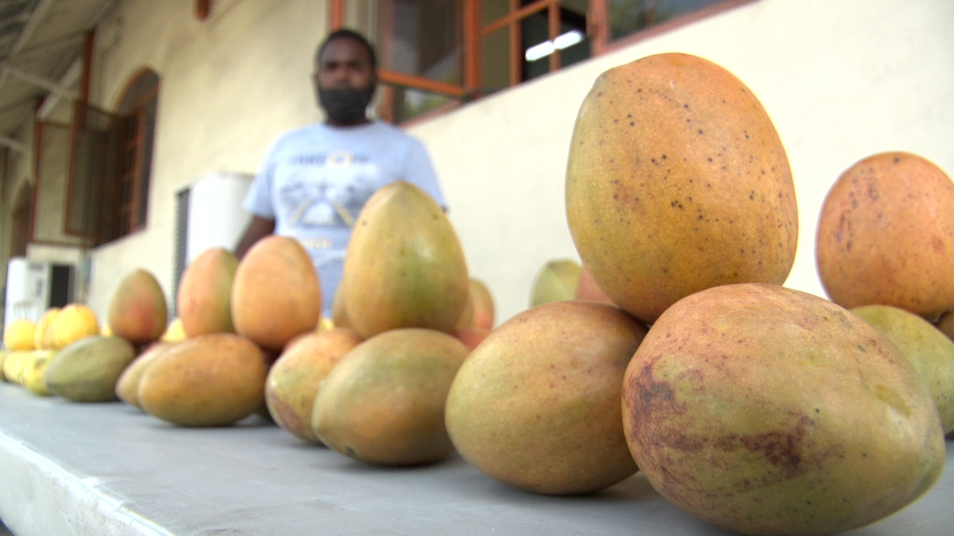 Mango Melee 2022 - TTT News