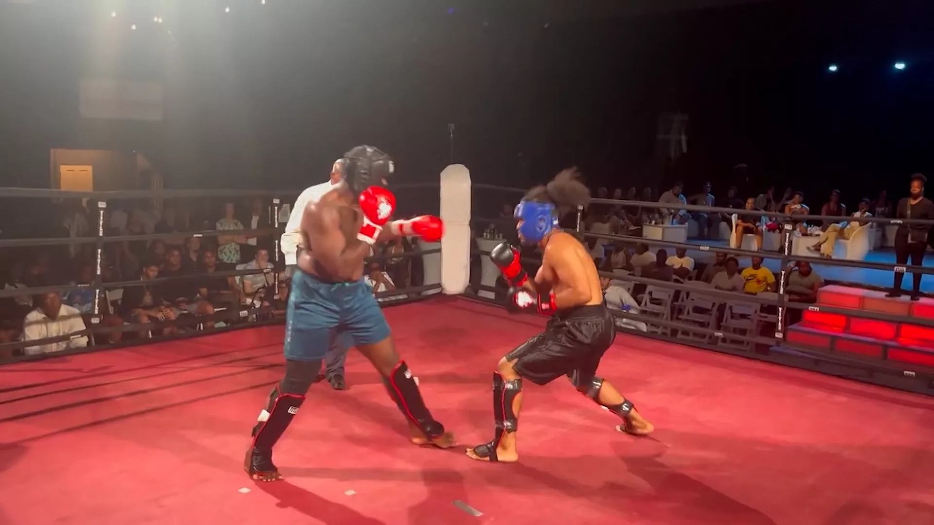 Generation Next – In The Ring - TTT News