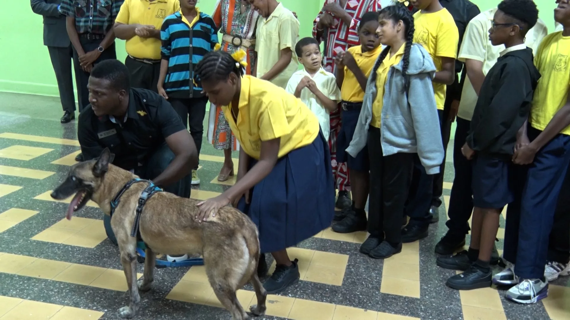 Dog Befriends Blind Welfare Association - TTT News