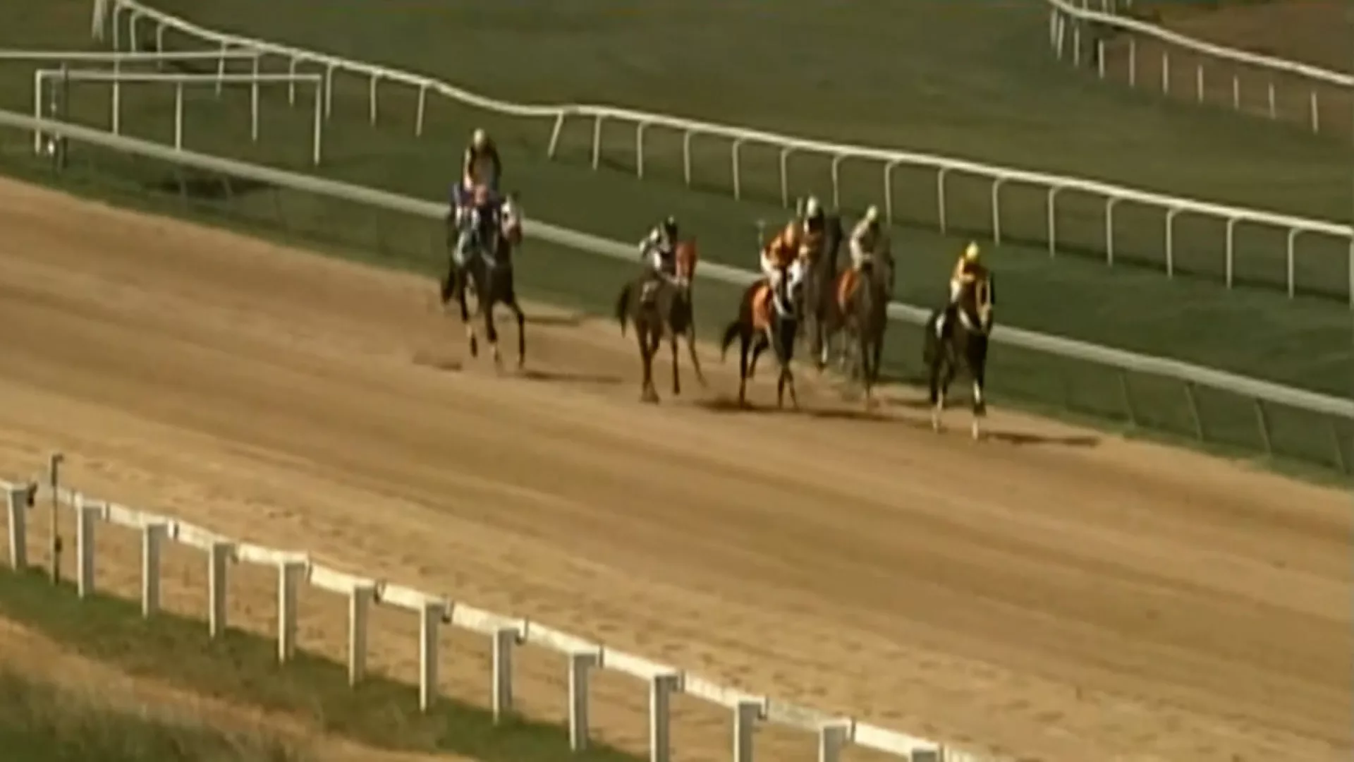 Boxing Day Races 2023 - TTT News