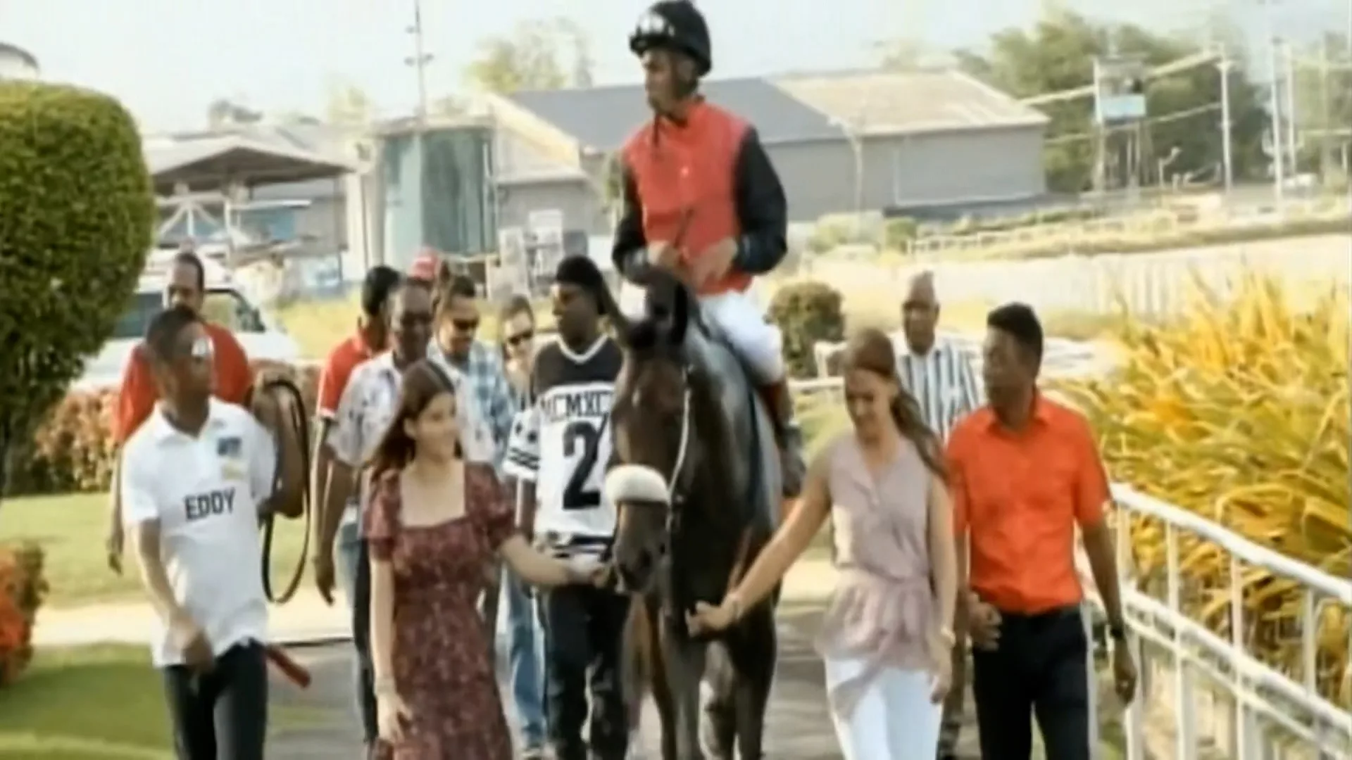 More From Boxing Day Races At Santa Rosa - TTT News