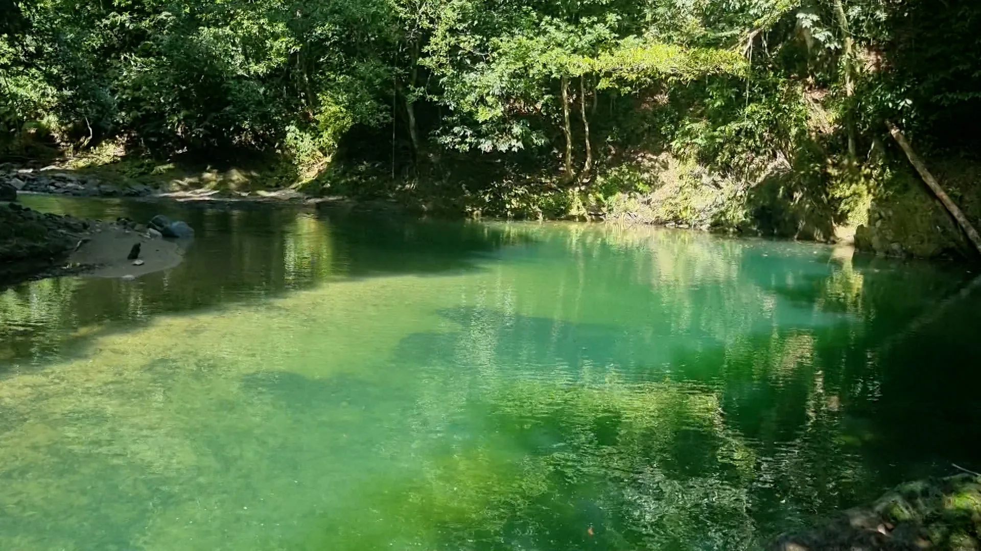 Right Here - Mermaid Pools - TTT News