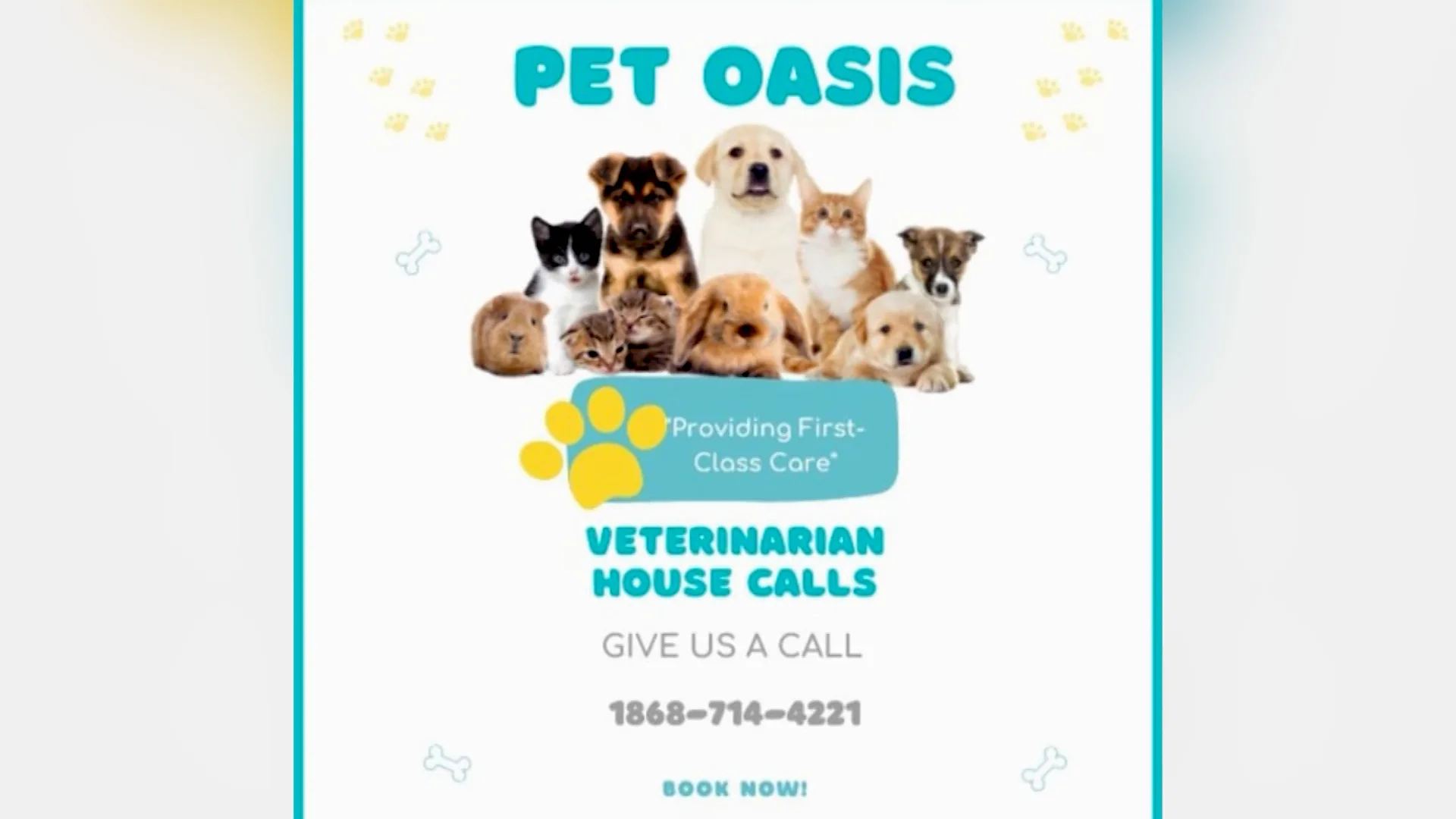 Business Insight – Pet Oasis Aims For Mobile Clinic - TTT News