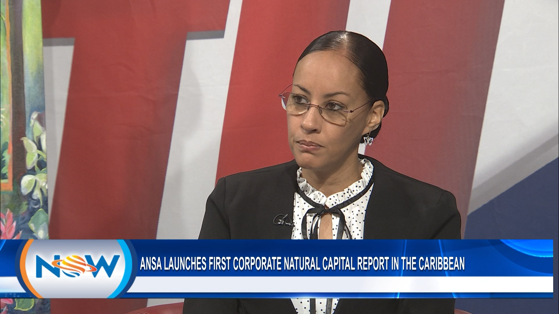 ANSA Launches First Corporate Natural Capital Report In The Caribbean ...