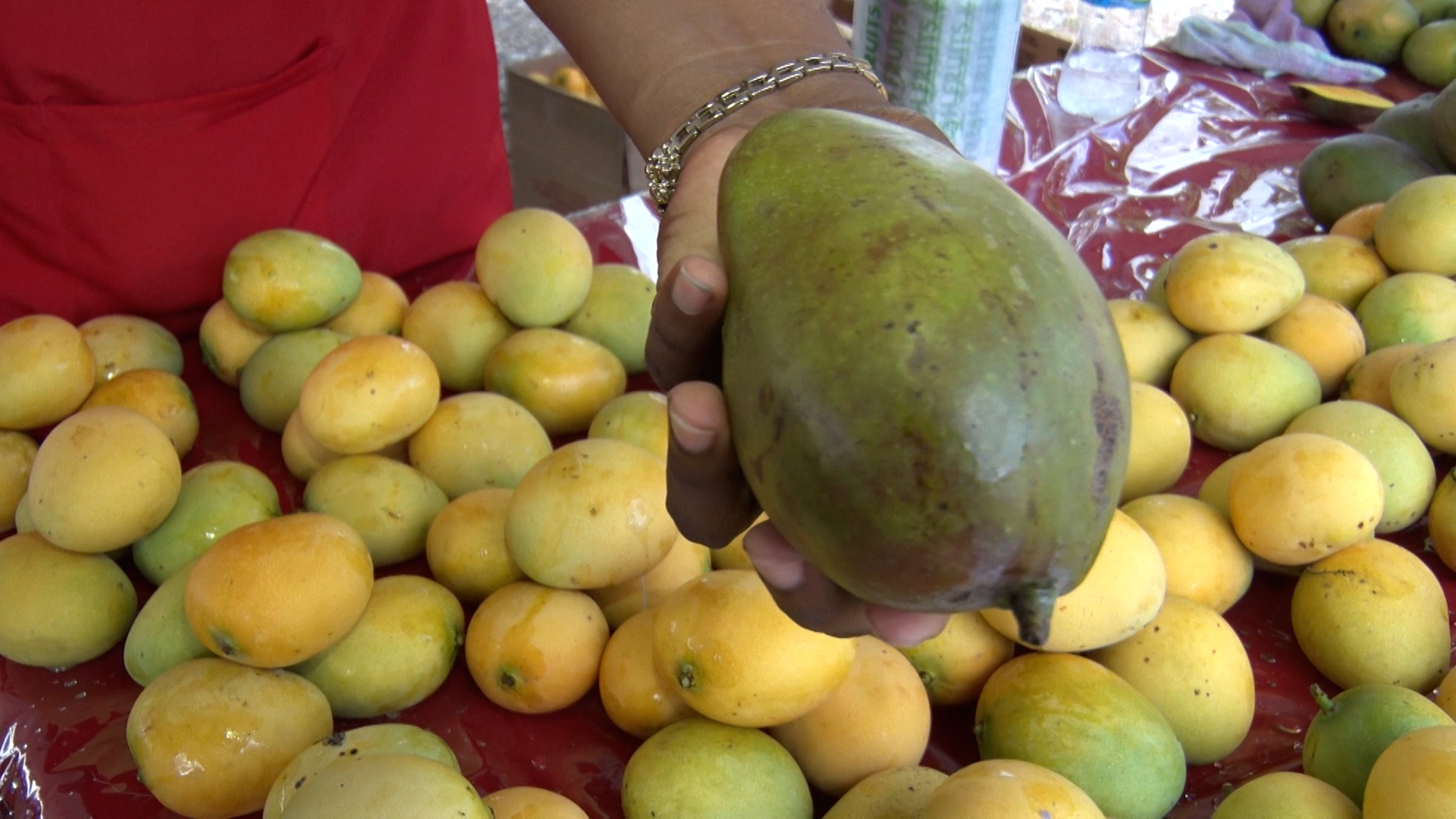 We Focus – The Benefits Of Mangoes - TTT News