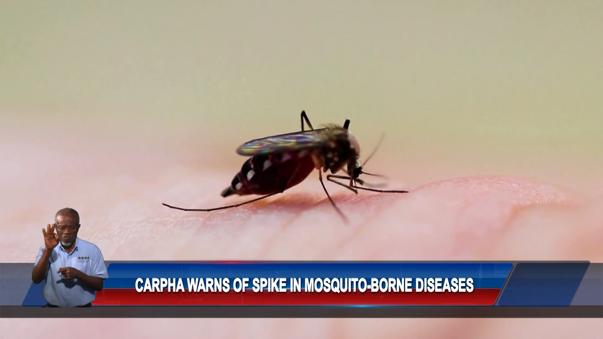 CARPHA Mosquito Awareness - TTT News