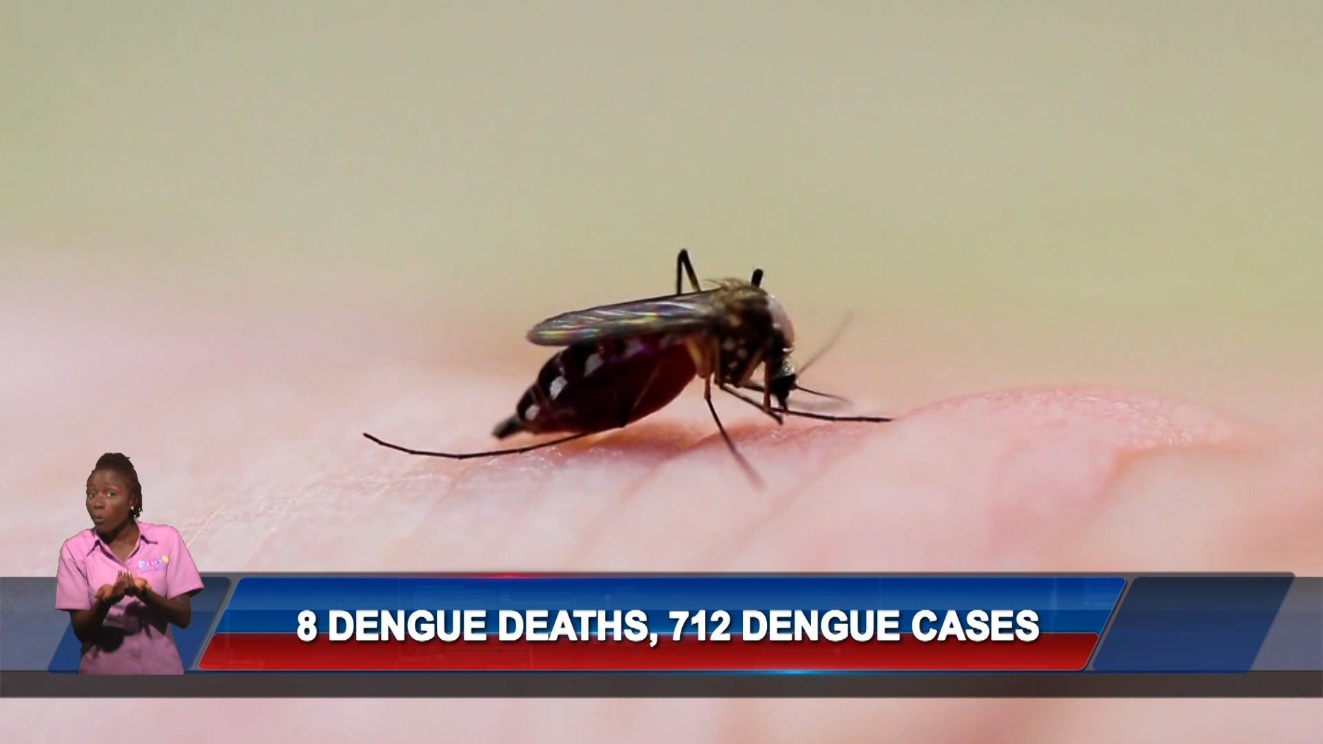 8 Dengue Deaths, 712 Cases - TTT News