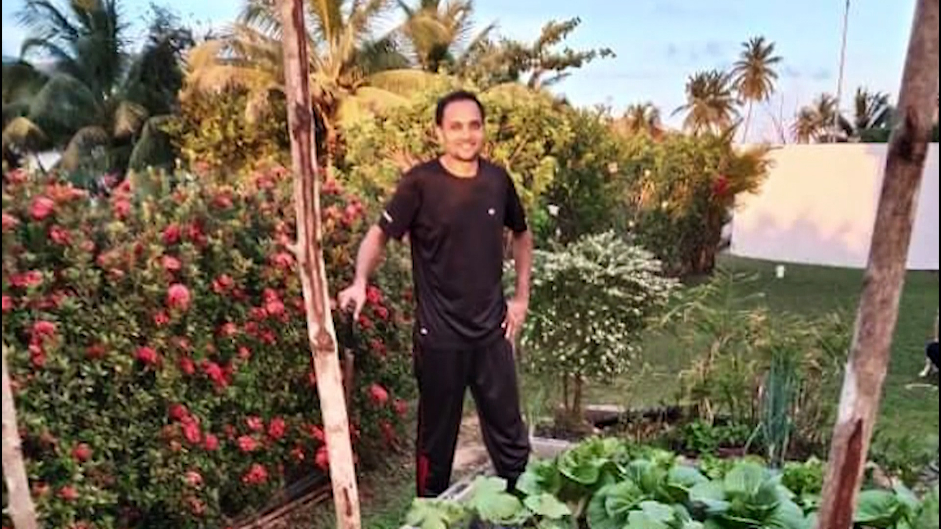 Inner Circle – Home Gardening Tips - TTT News