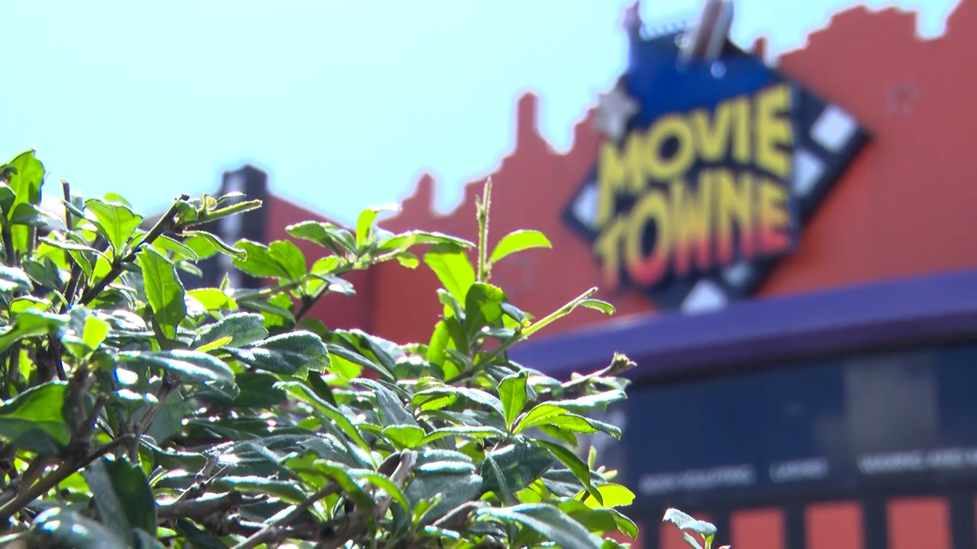 Business As Usual At Movietowne - TTT News