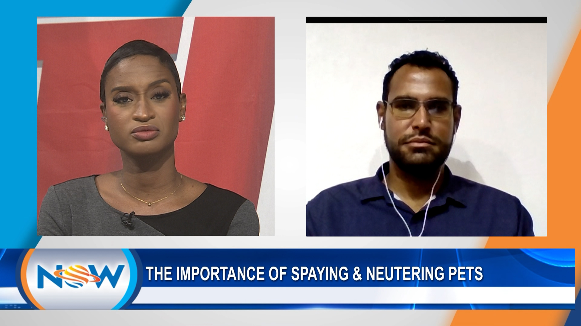 The Importance Of Spaying And Neutering Pets - TTT News