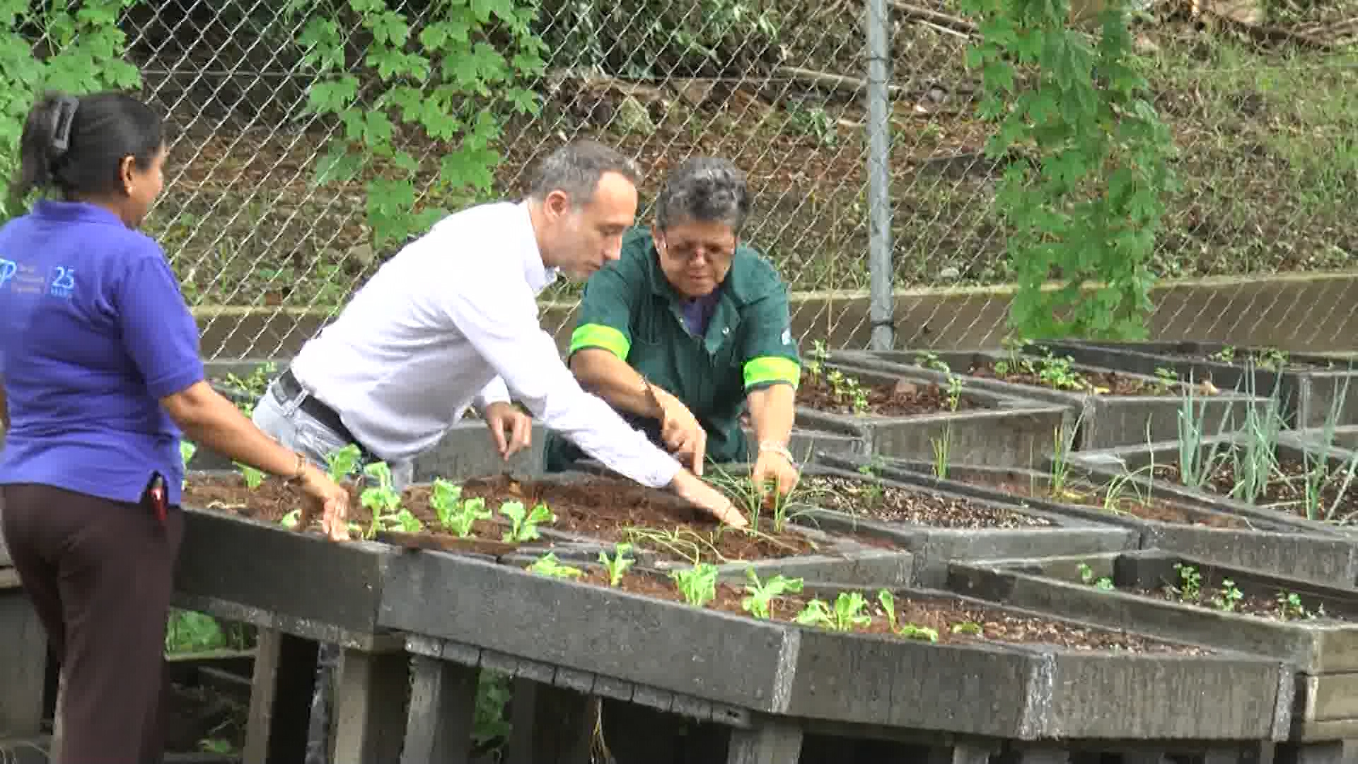 UNDP Works To Accelerate Disability Inclusion - TTT News