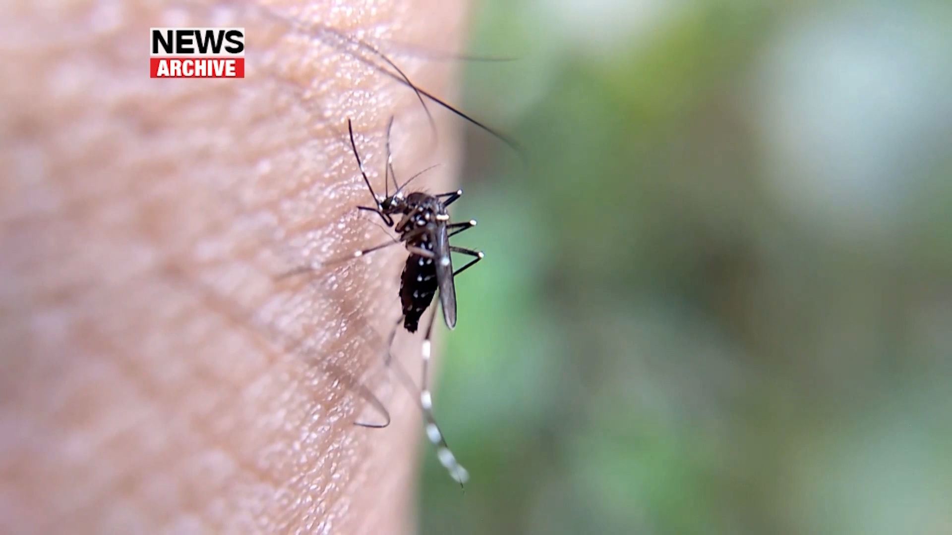 Dengue Deaths Now At 18, Confirmed Cases At 1,416 - TTT News