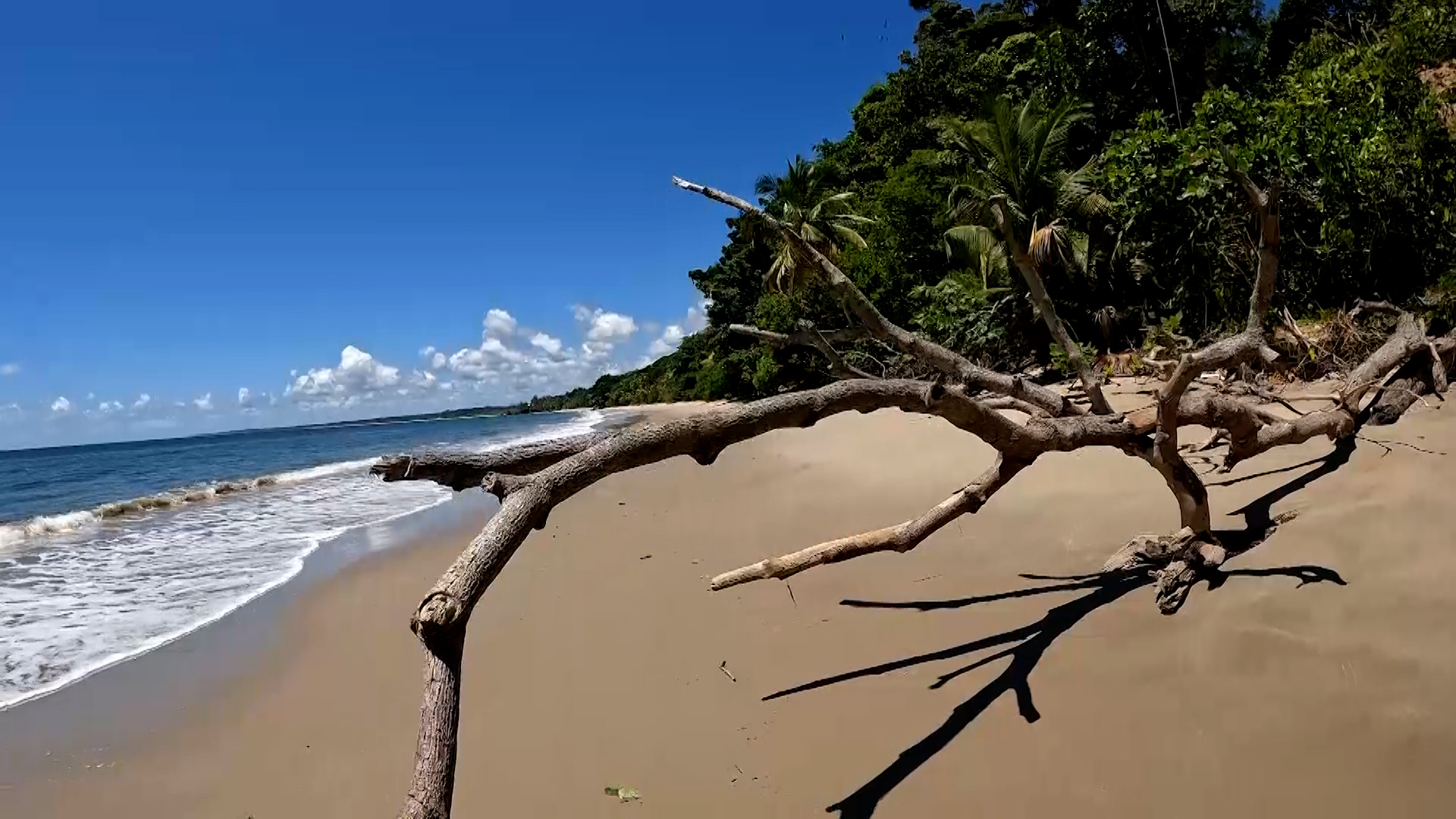 Right Here – Salybia Beach, Saline Bay - TTT News