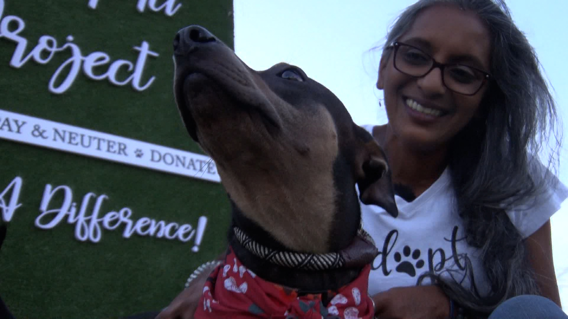 “Project You” 5K For Rescues - TTT News