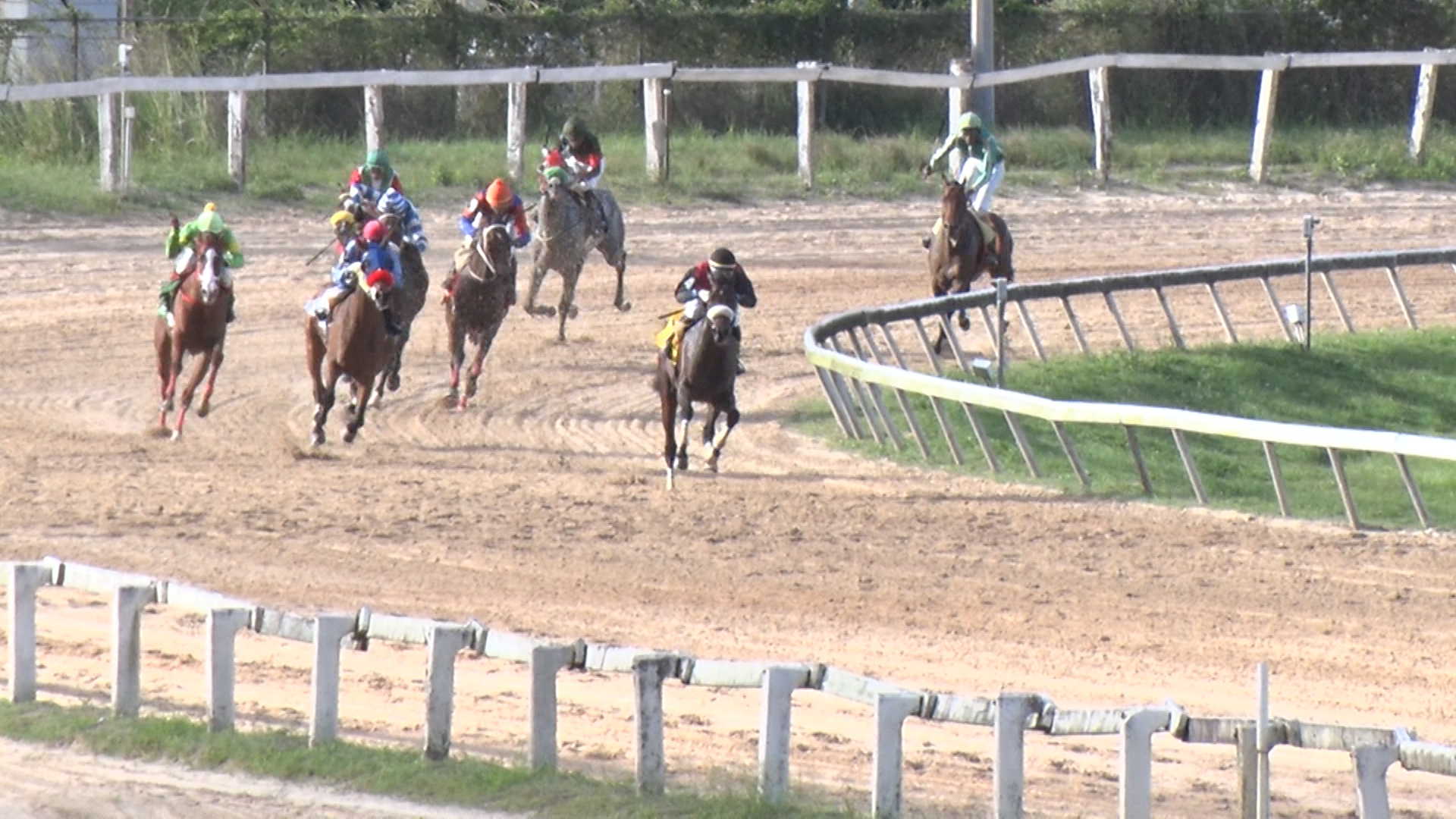 Boxing Day At The Races - TTT News