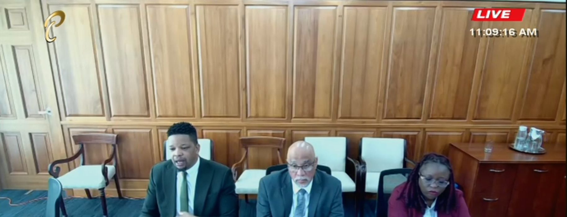 Joint Select Committee Tackles Discrimination In Public And Private ...