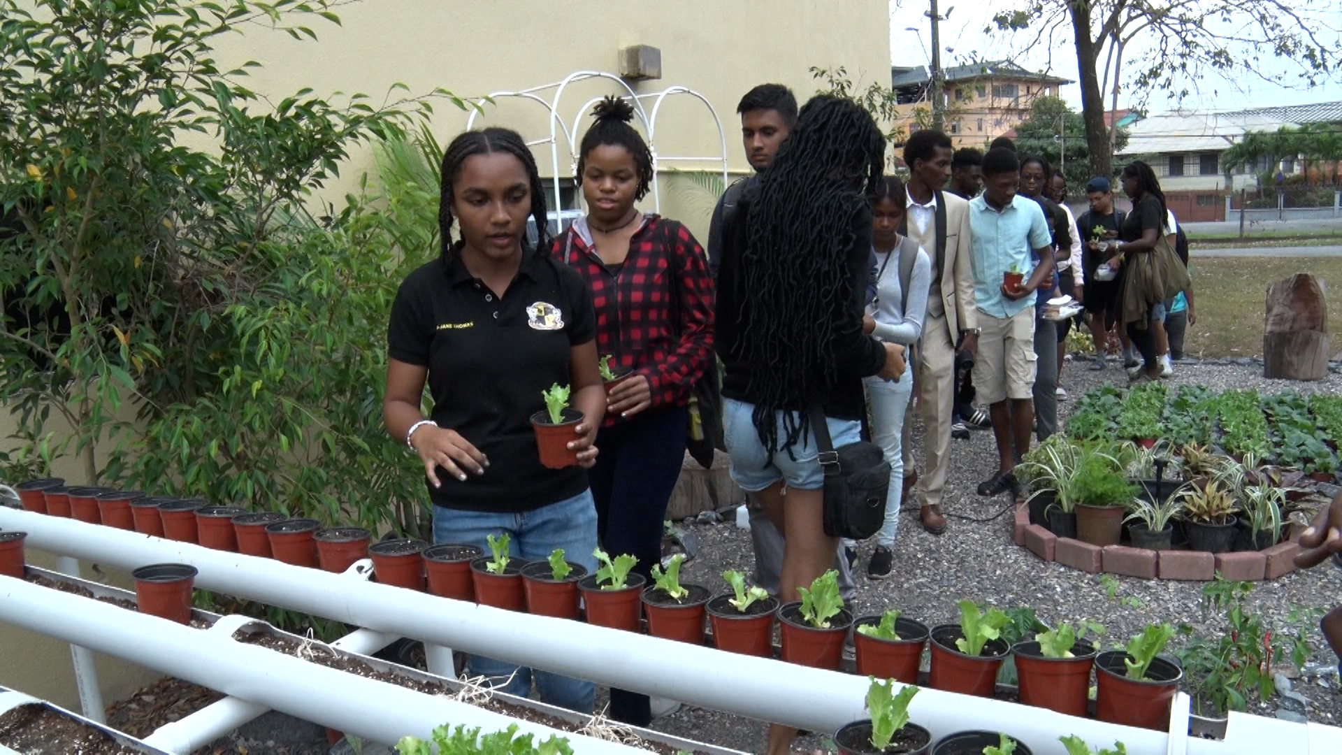 Our Power, Our Planet – UWI Goes Green With New Food Park - TTT News