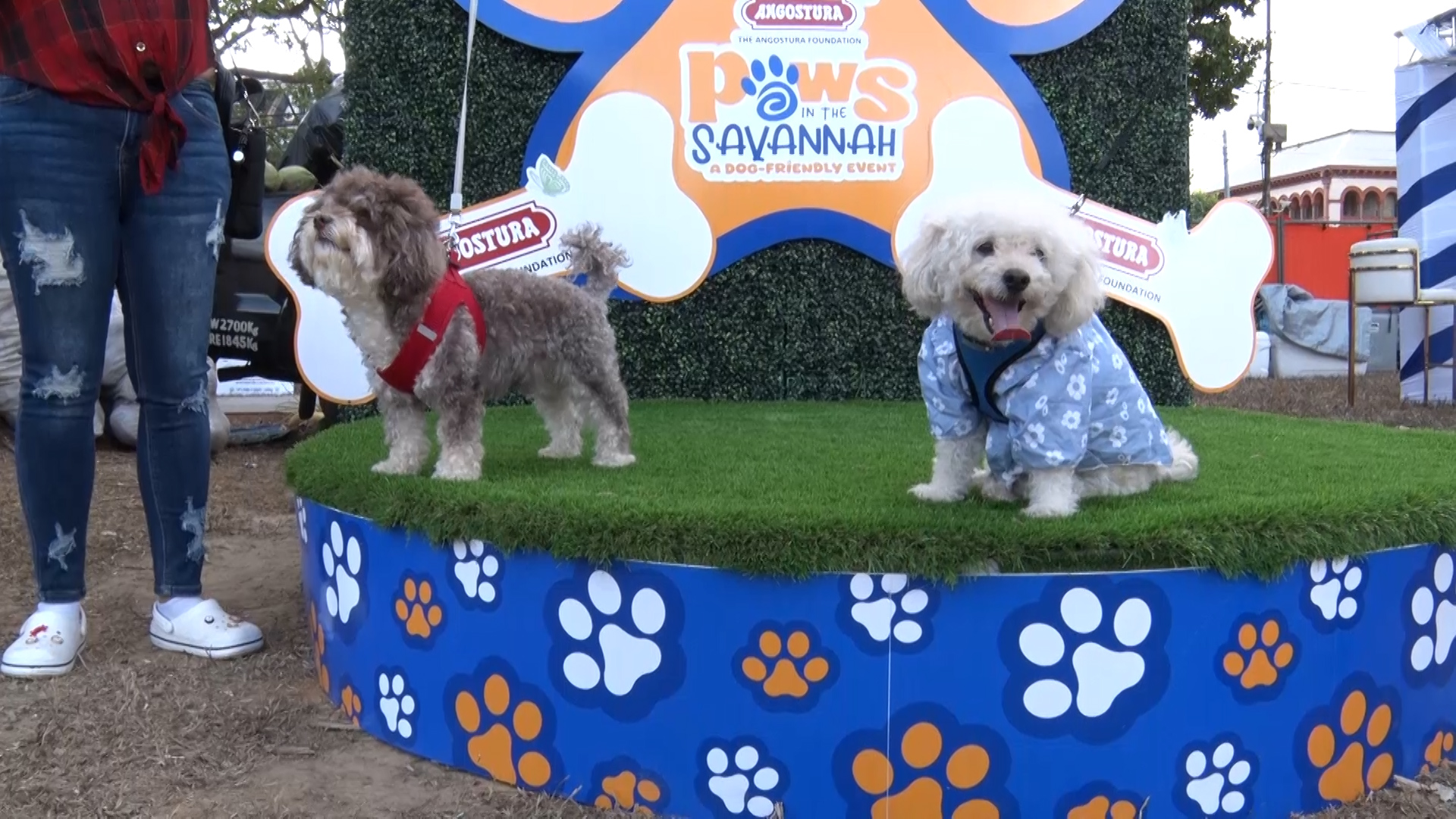 Angostura Foundation’s “Paws In The Savannah” - TTT News
