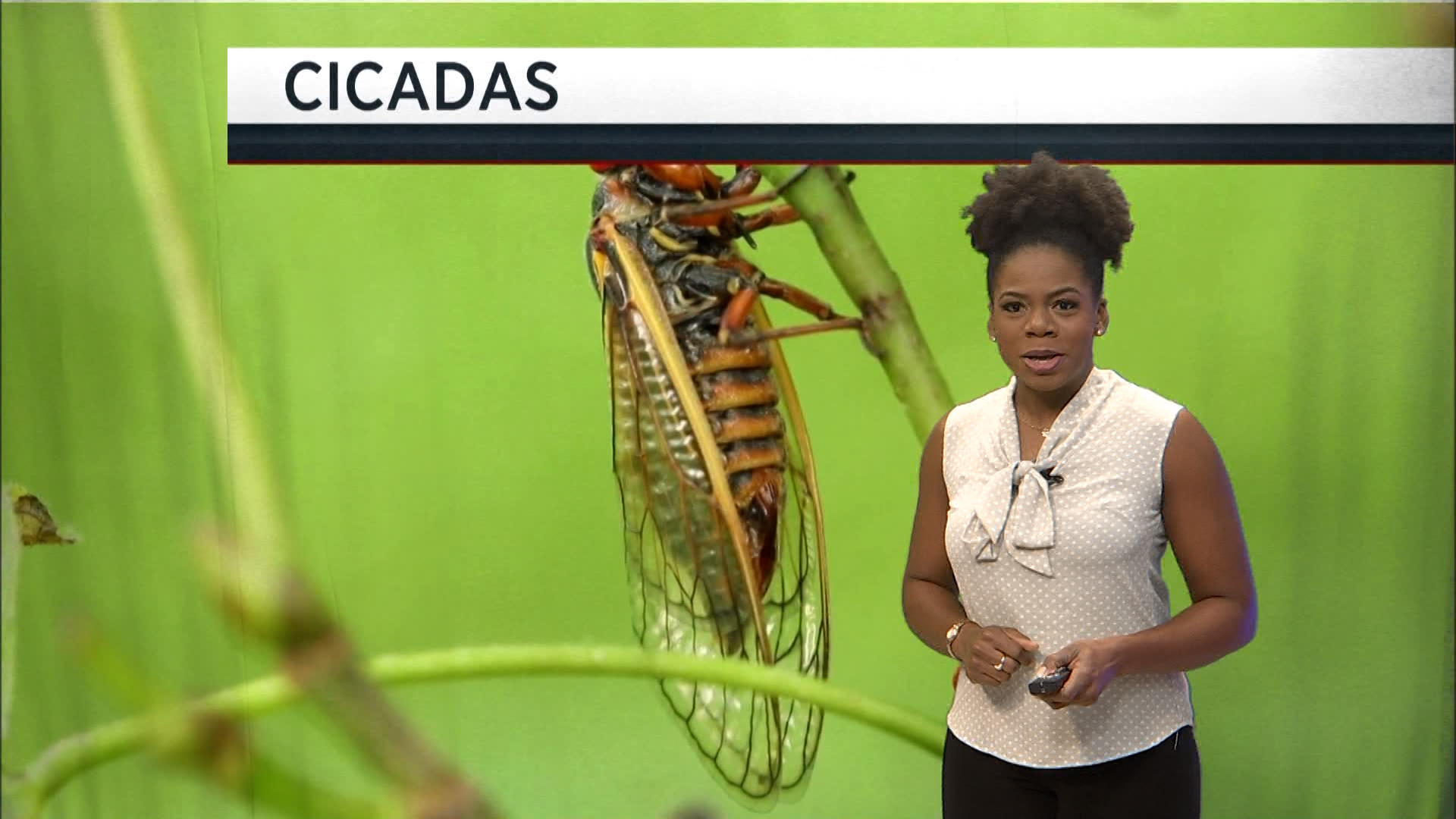 Weather Outlook – Wednesday May 14th 2025 - TTT News