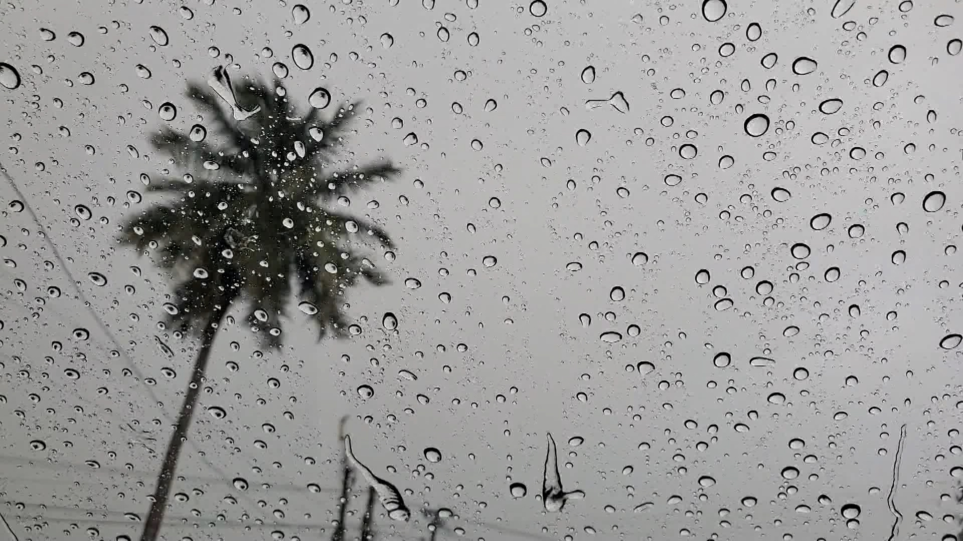 Weekend Weather: Yellow Alert Lifted, But More Rain Expected - TTT News