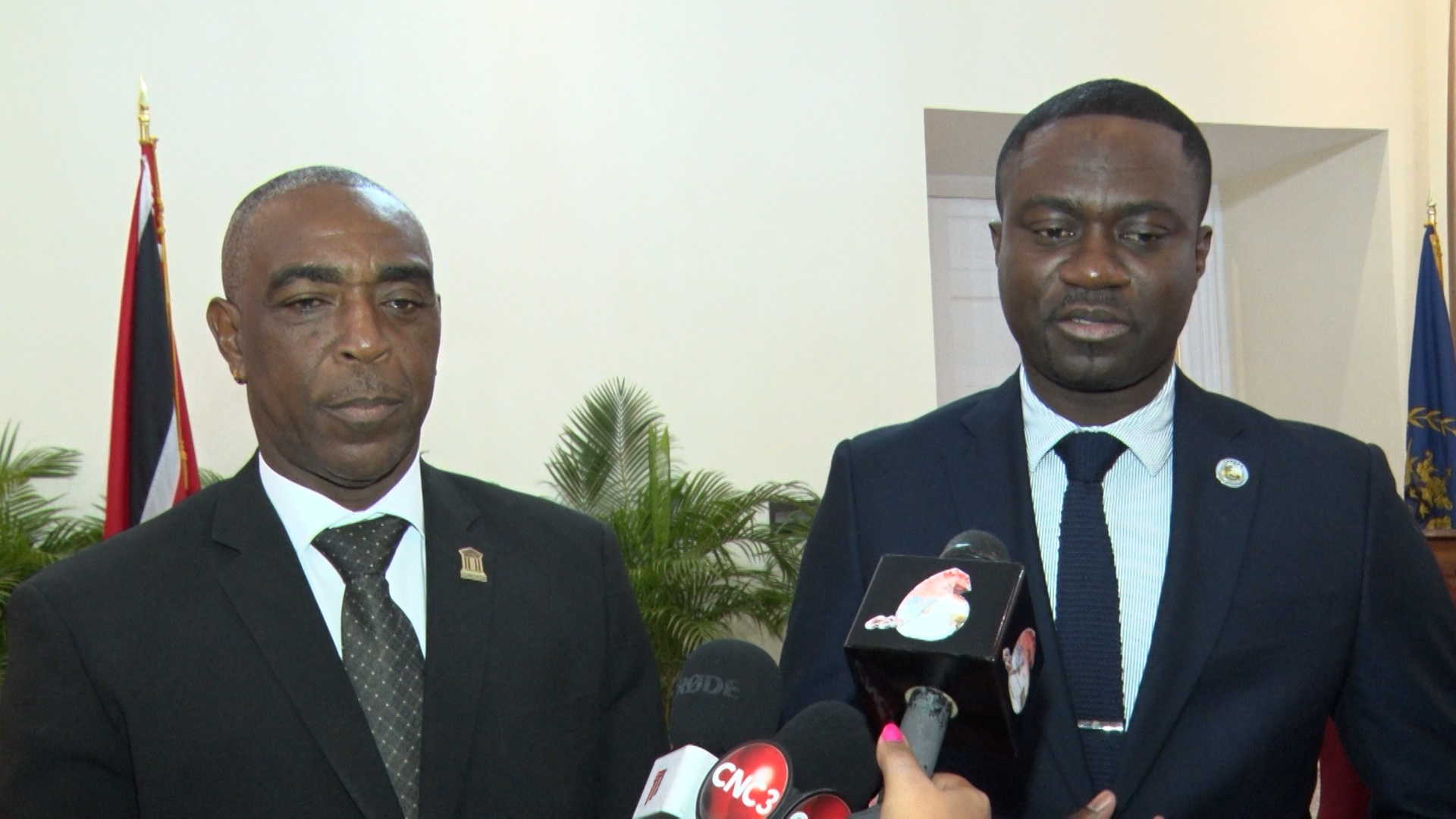 THA To Step In Over Neglect Of ANR Robinson Burial Site - TTT News