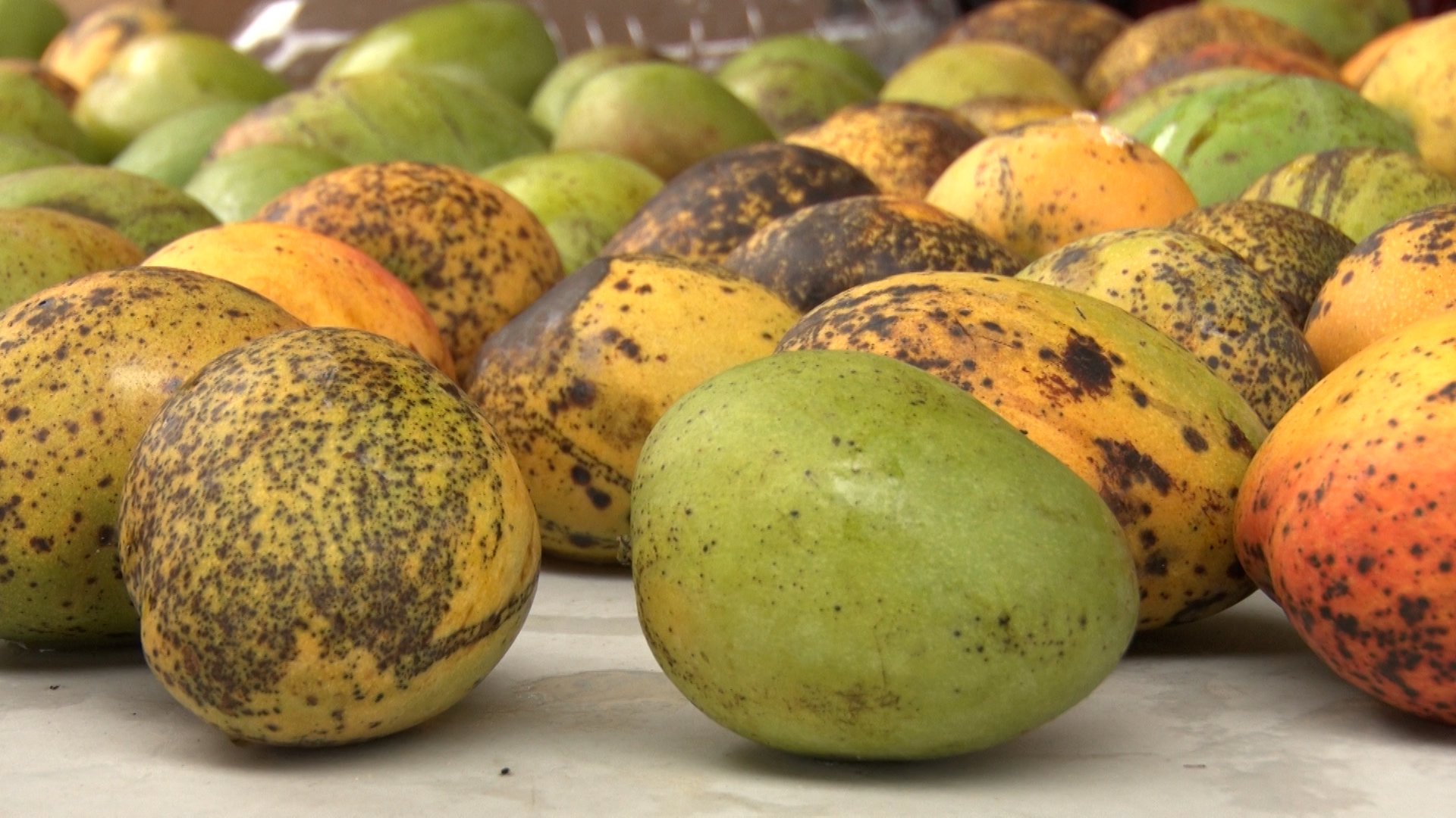 Mango Melee: Beyond Chow - TTT News